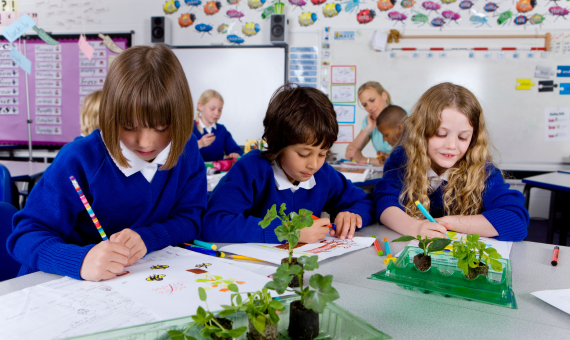 Primary Science Skills | www.ase.org.uk