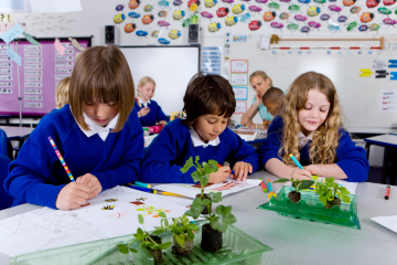 Primary Early Career Teacher Resources | www.ase.org.uk